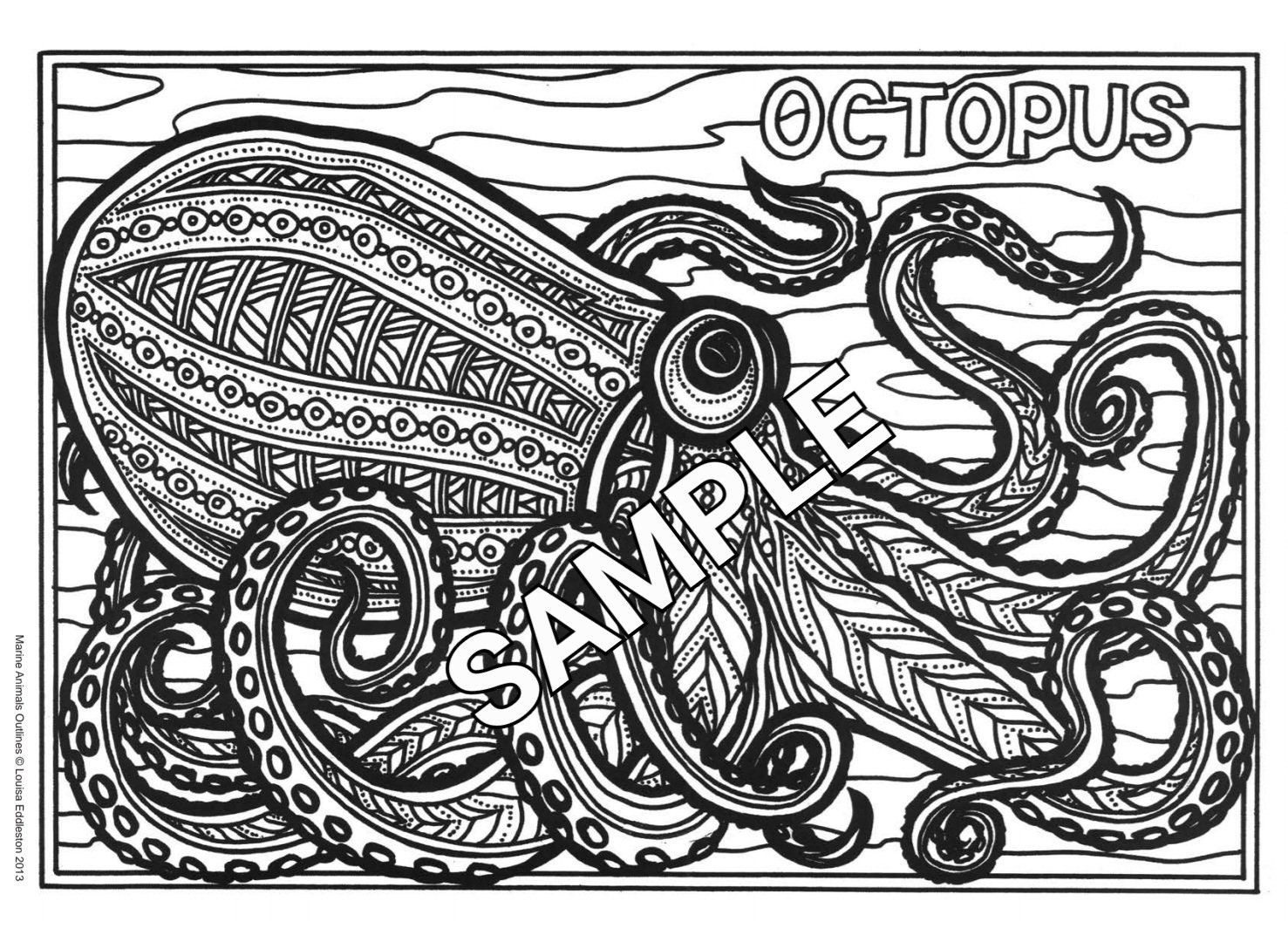 Marine Animal Outlines- a Colouring in Book - Etsy