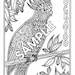 Arty Animal Outlines by Louisa Eddleston - Etsy
