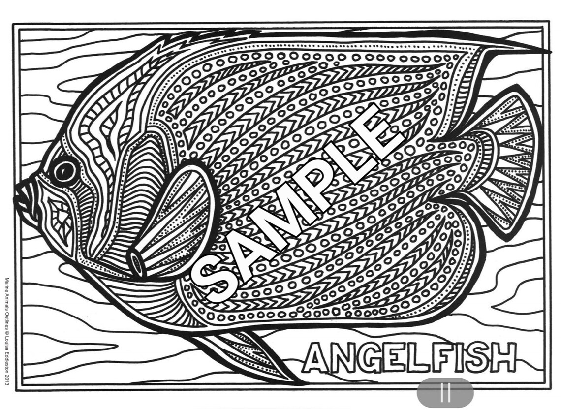 Marine Animal Outlines- a Colouring in Book - Etsy