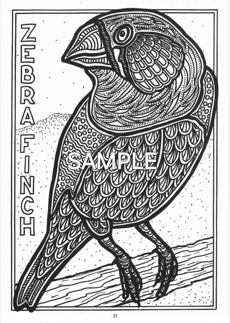 DESERT ANIMALS- Arid Land Animal Outlines: Part of the Arty Animal ...