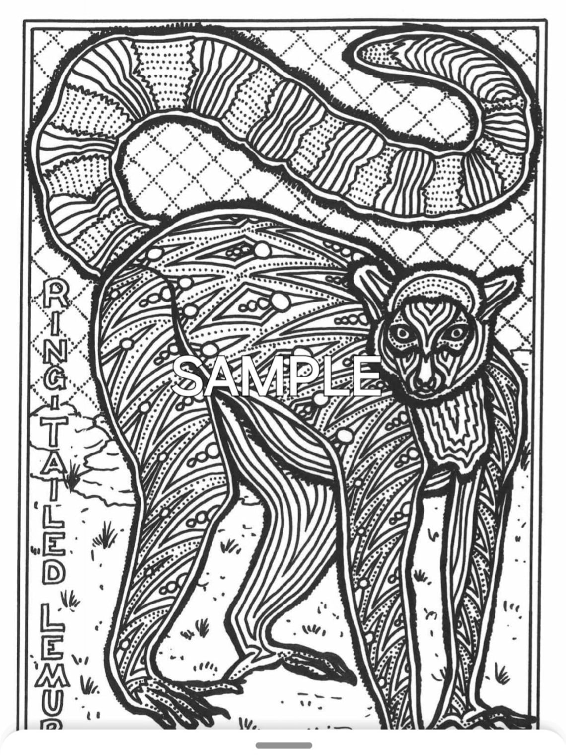 ZOO ANIMAL OUTLINES- Part of the Arty Animal Outlines Series - Etsy Canada