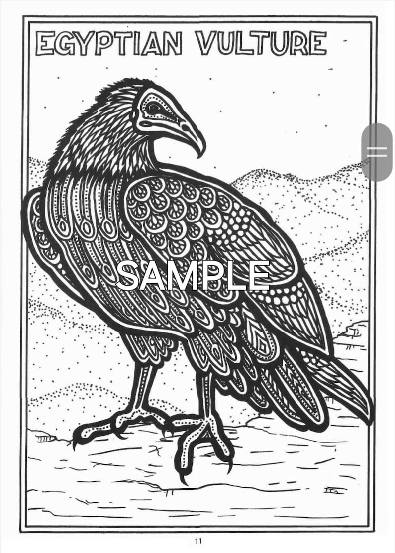 DESERT ANIMALS- Arid Land Animal Outlines: Part of the Arty Animal ...