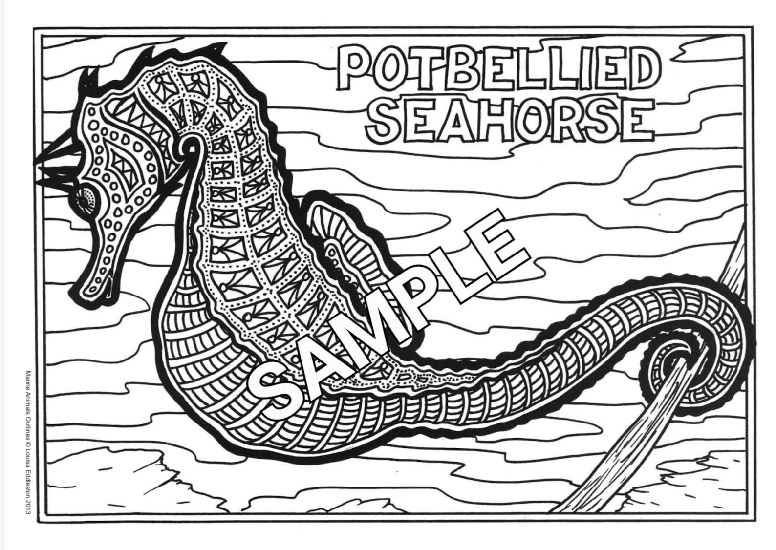 Marine Animal Outlines- a Colouring in Book - Etsy