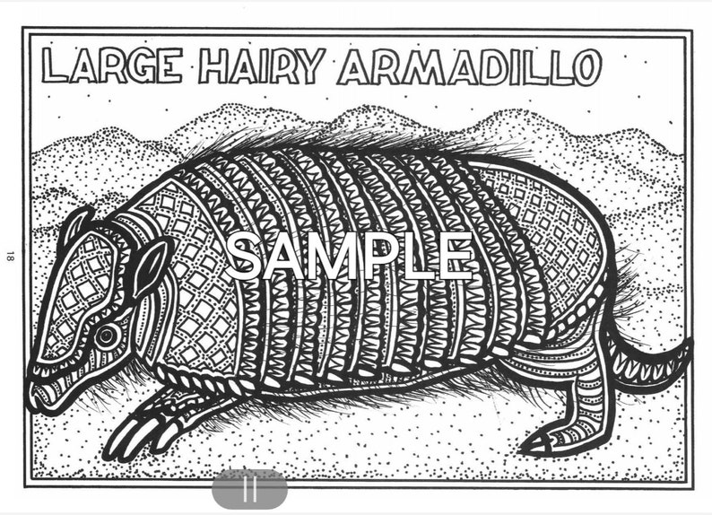 DESERT ANIMALS- Arid Land Animal Outlines: Part of the Arty Animal ...