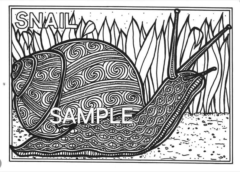 URBAN ANIMAL OUTLINES Part of the Arty Animal Series - Etsy