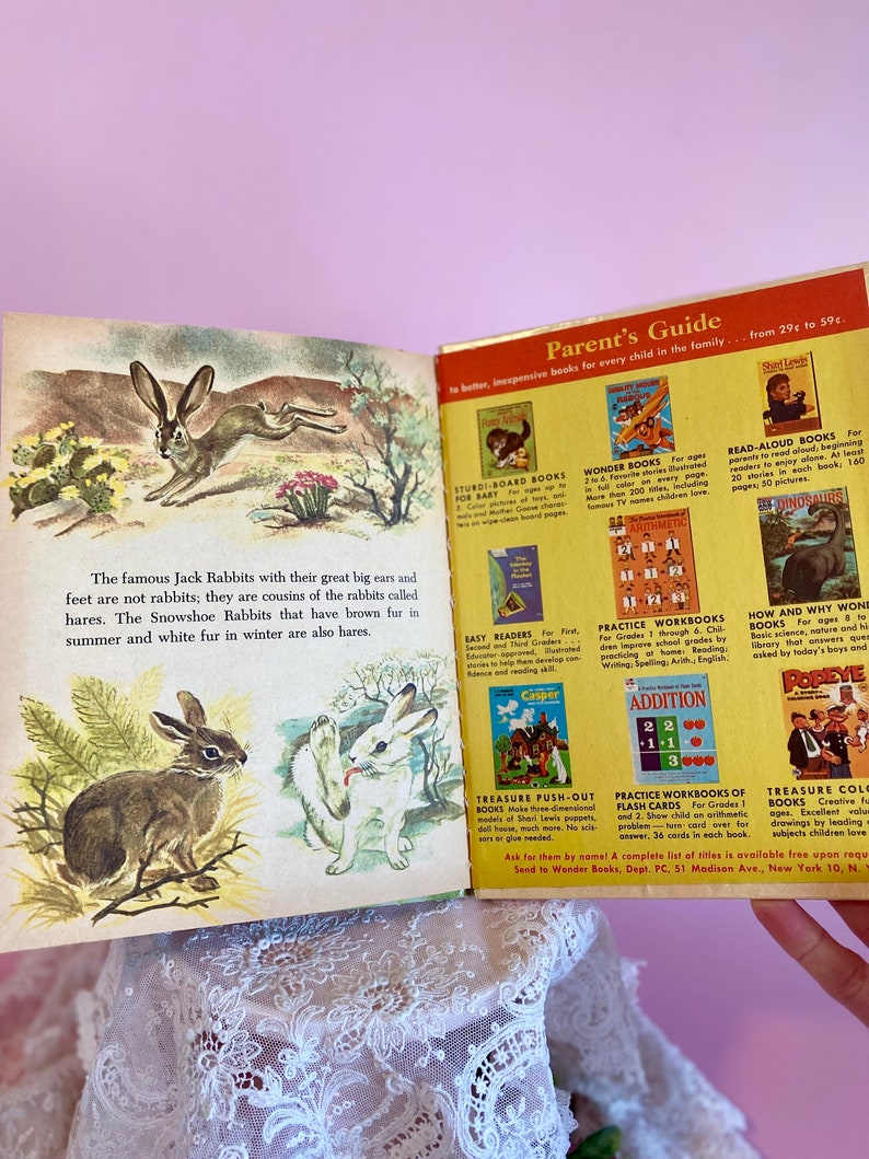 Vintage 1965 the Wonder Book of Cottontails and Other Rabbits by ...