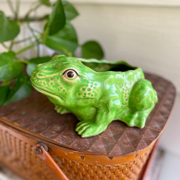 Frog Planters - Etsy