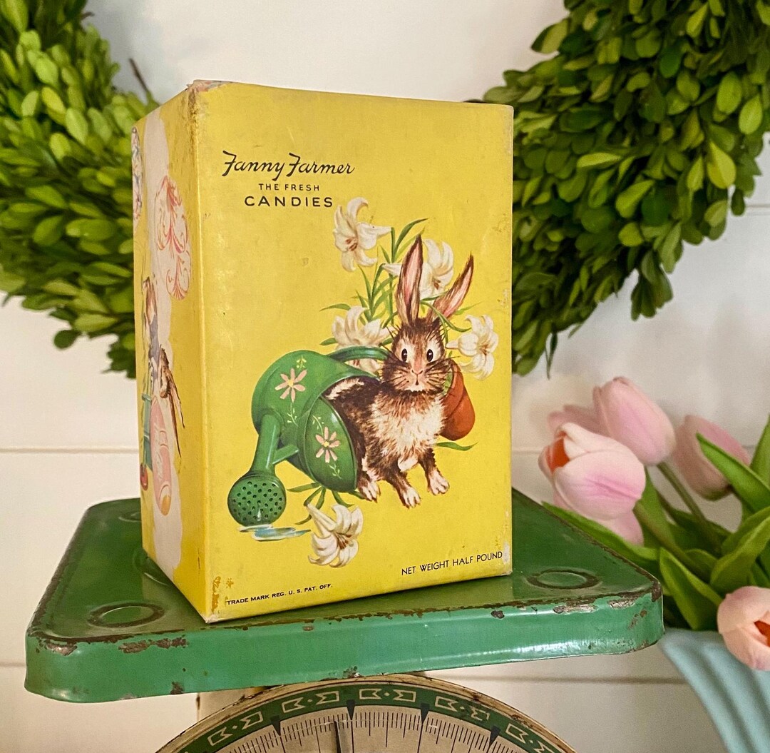 Vintage FANNY FARMER Candies EMPTY Yellow Easter Candy Box Half Pound 4 ...