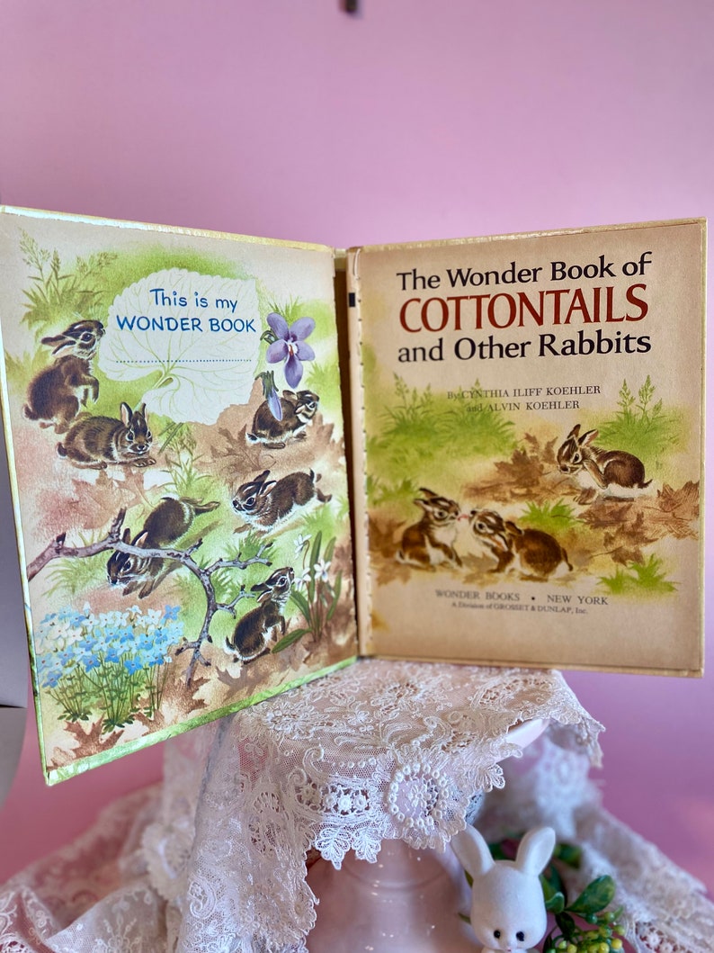 Vintage 1965 the Wonder Book of Cottontails and Other Rabbits by ...