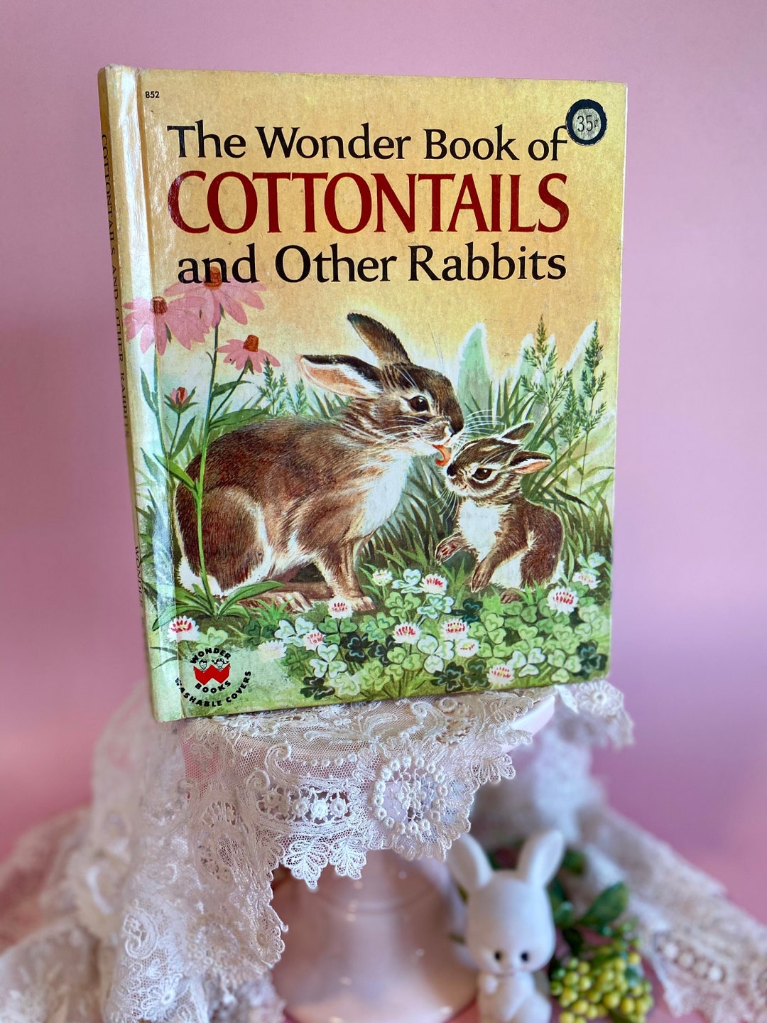 Vintage 1965 the Wonder Book of Cottontails and Other Rabbits by ...