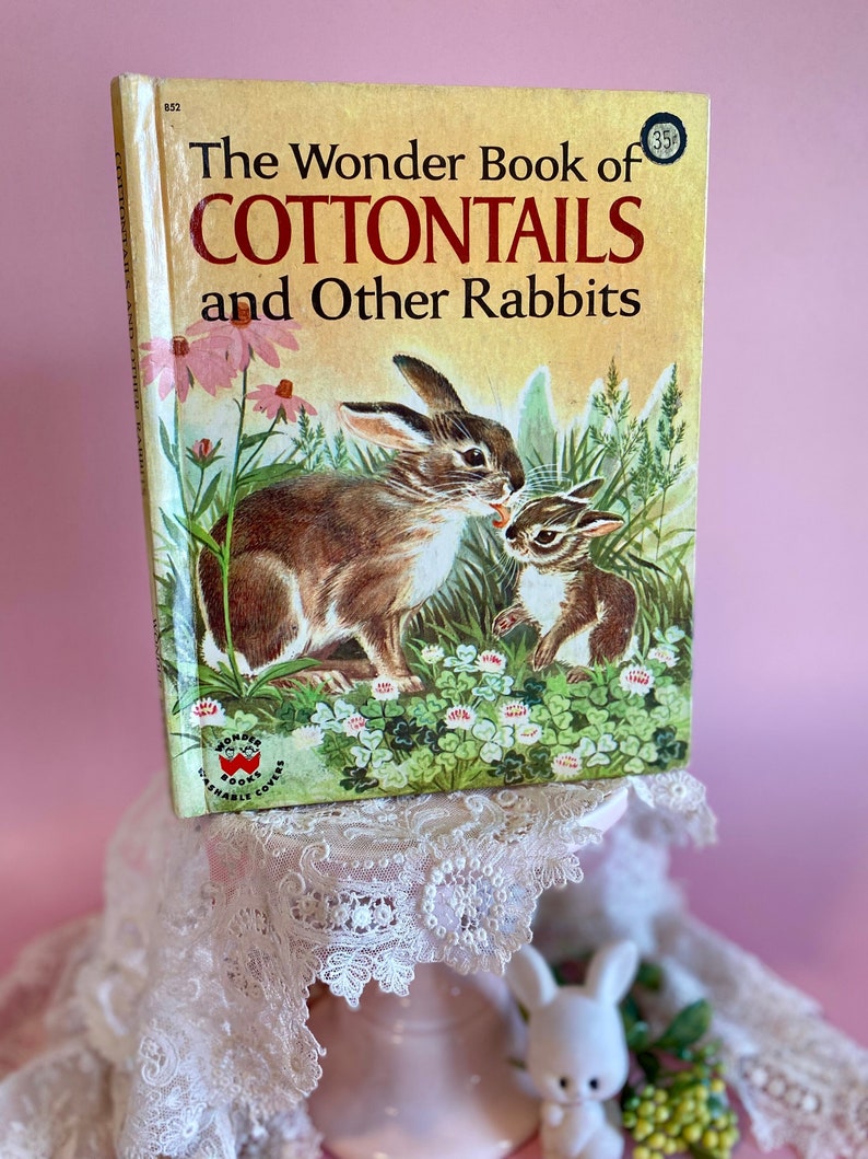 Vintage 1965 the Wonder Book of Cottontails and Other Rabbits by ...