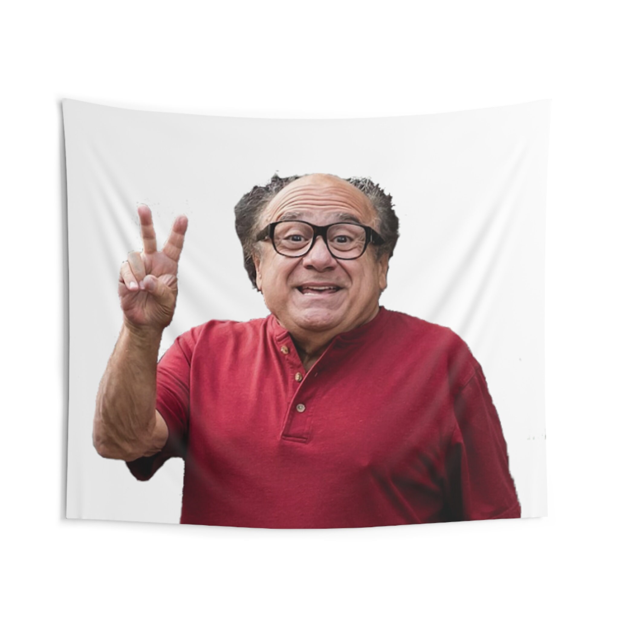 Danny Devito Flag Funny Room Decor - Etsy