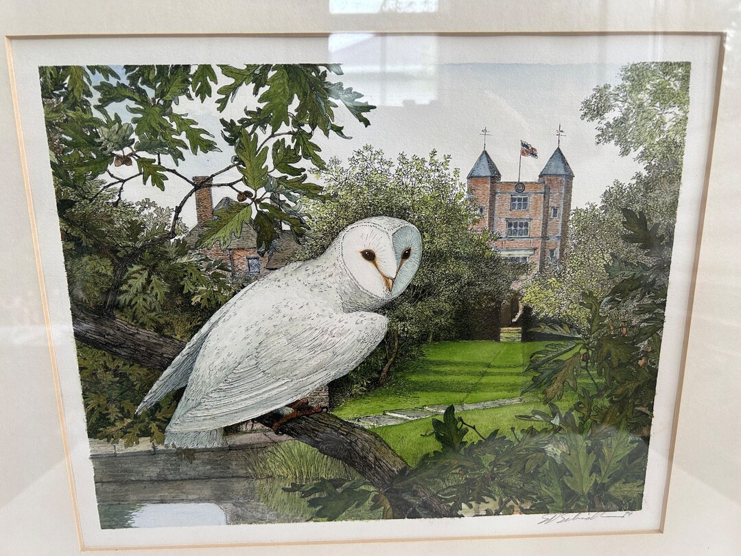 Original Watercolor, Pen and Ink Book Cover Illustration Art by S.D ...