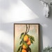 Vintage Mango Painting| Wall Art | Digital Download - Etsy