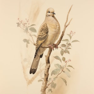Turtle Dove Art | Dove Oil Painting | Farmhouse Bird Digital Print ...
