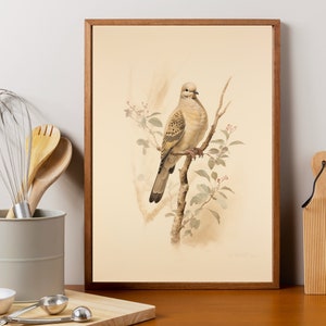 Turtle Dove Art | Dove Oil Painting | Farmhouse Bird Digital Print ...