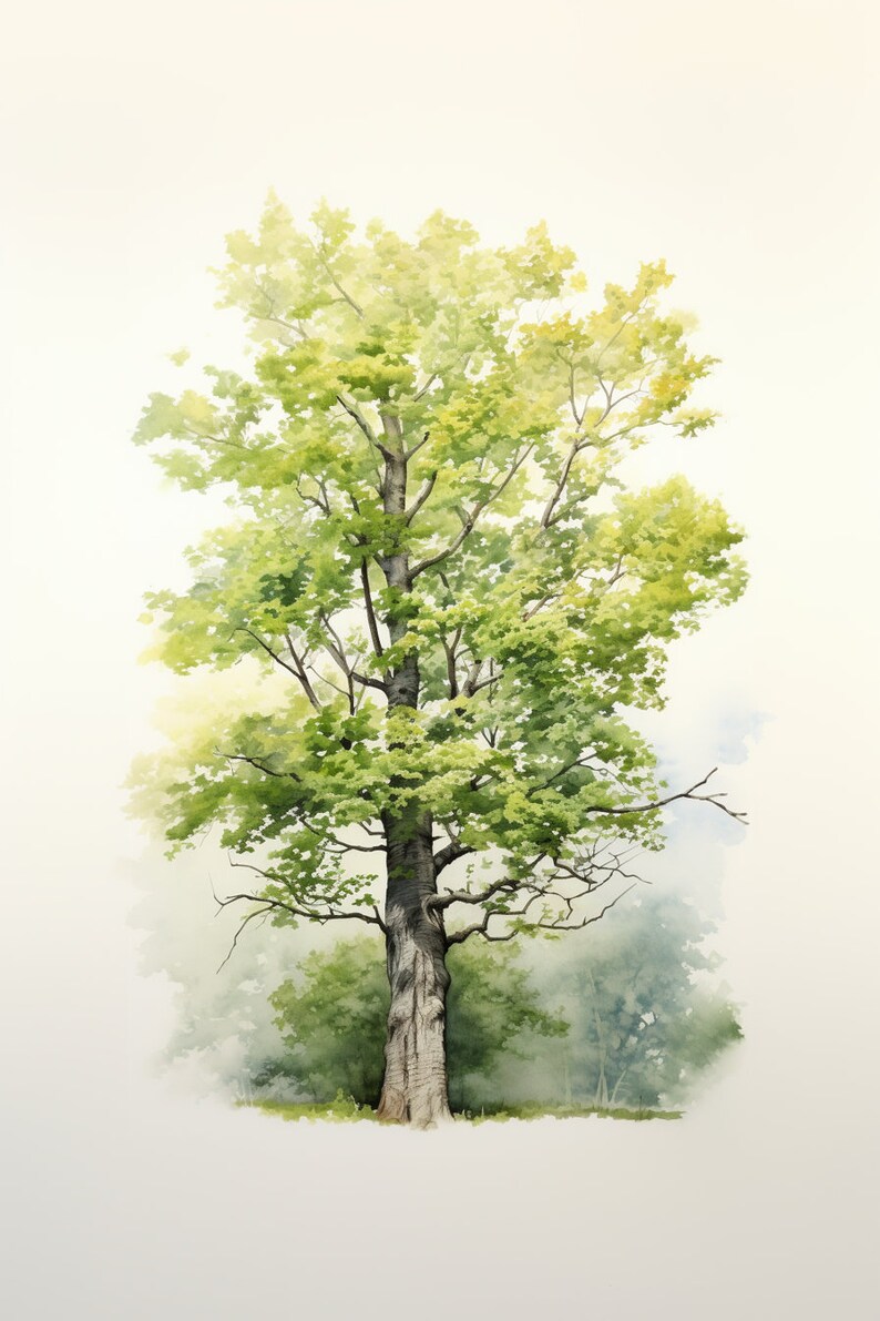 Watercolor Sycamore Tree Wall Art Digital Download - Etsy