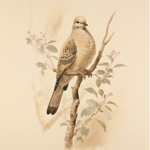 Turtle Dove Art | Dove Oil Painting | Farmhouse Bird Digital Print ...
