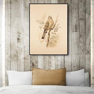 Turtle Dove Art | Dove Oil Painting | Farmhouse Bird Digital Print ...