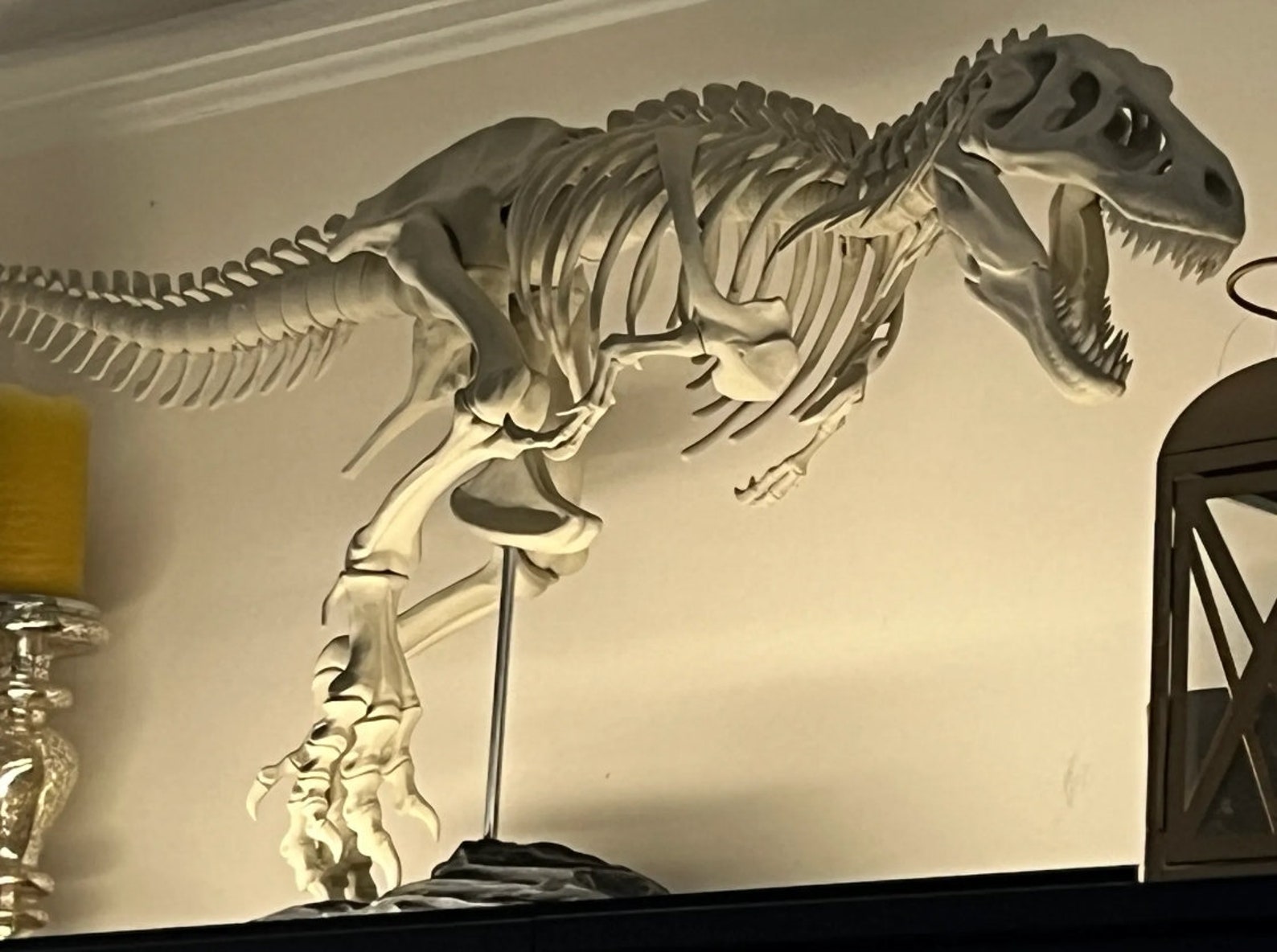 Jumbo T-rex Skeleton Model/decoration - Etsy