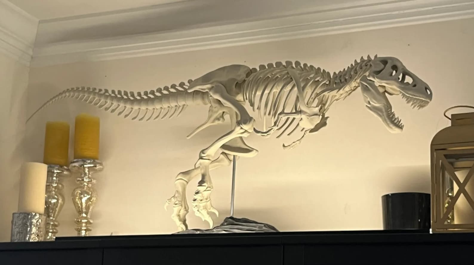 Jumbo T-rex Skeleton Model/decoration - Etsy