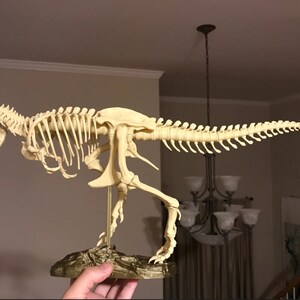T-rex Skeleton Model/decoration - Etsy