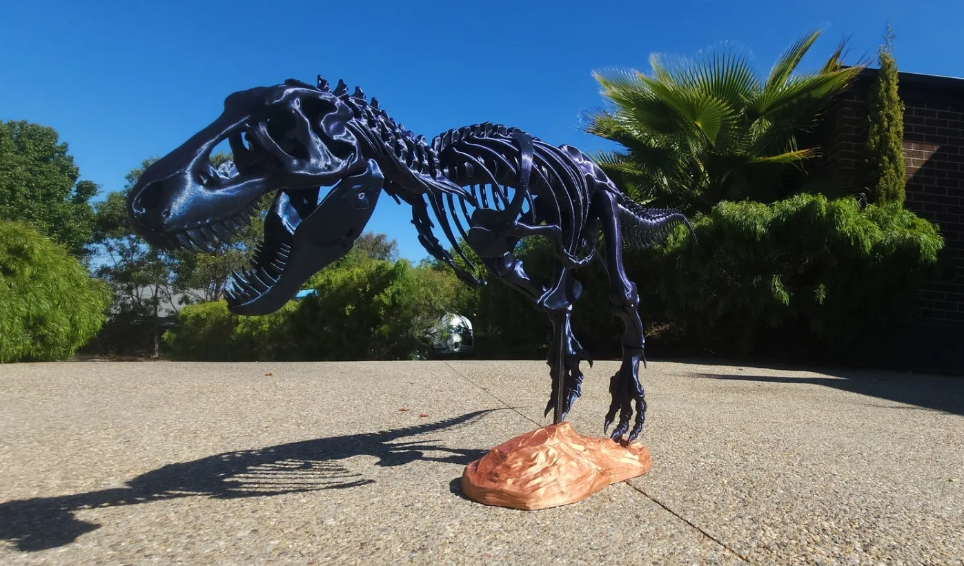 Jumbo T-rex Skeleton Model/decoration - Etsy