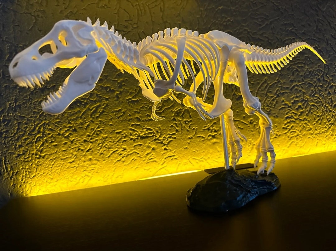 T-rex Skeleton Model/decoration - Etsy