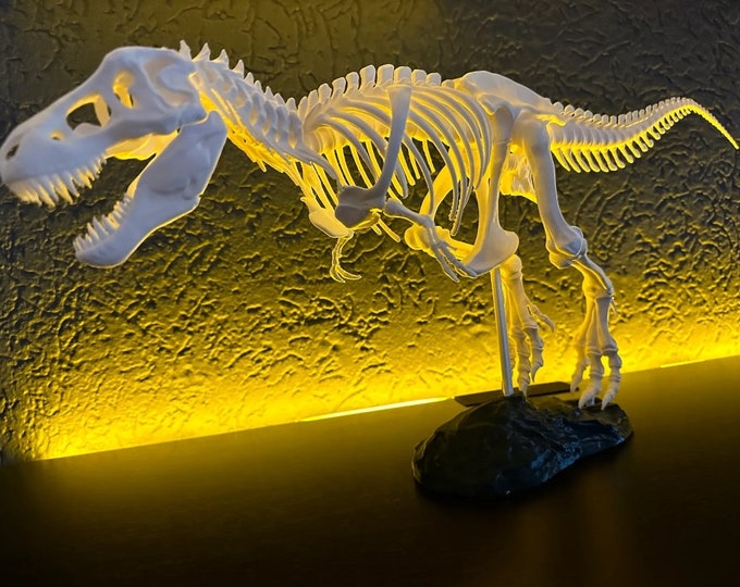 T-rex Skeleton Model/decoration - Etsy