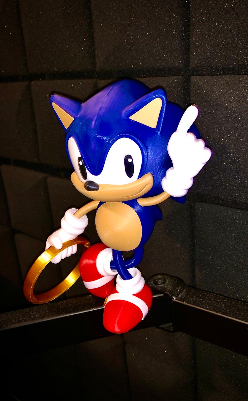 Custom Sonic the Hedgehog - Etsy