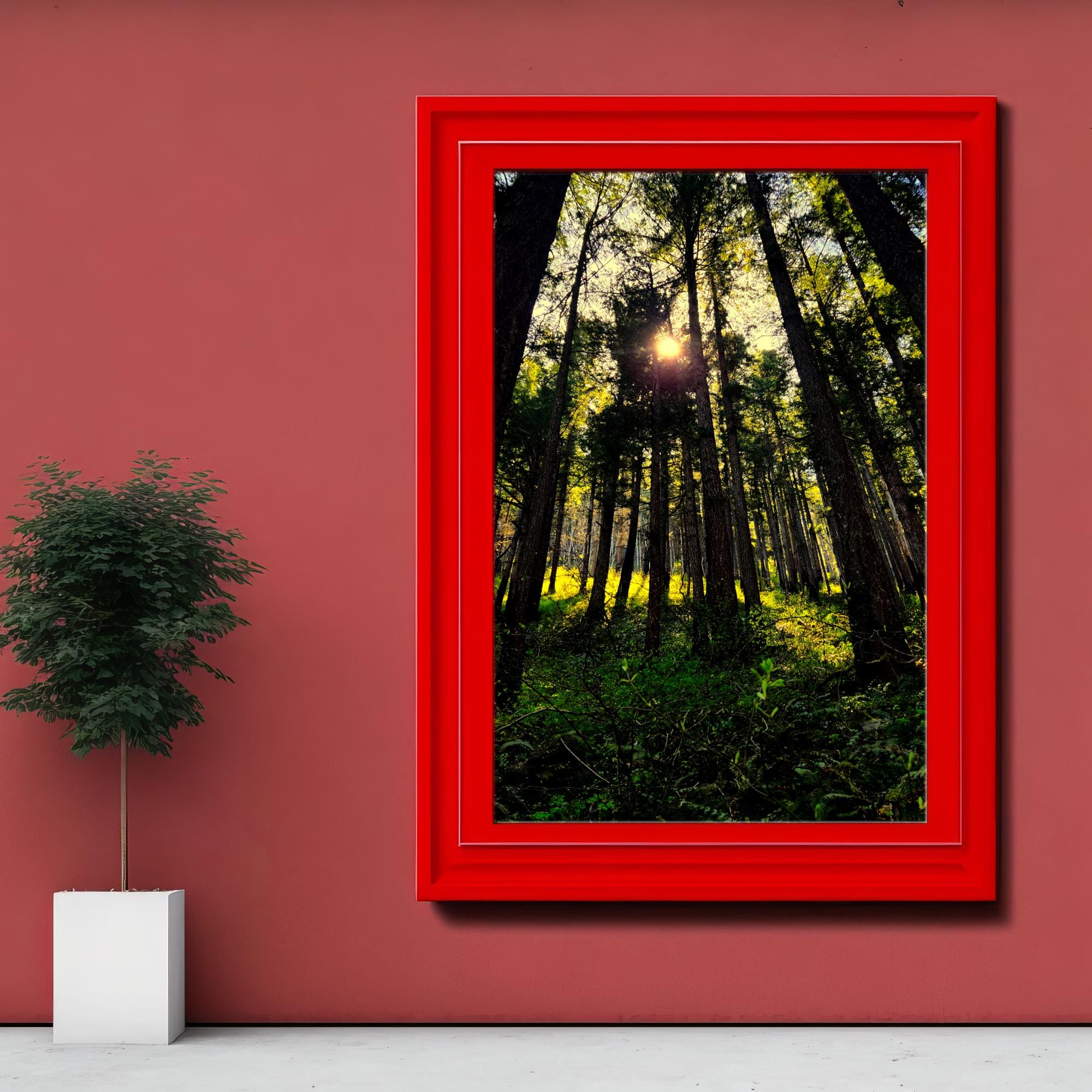 Sunlit Oregon Forest Print Digital Download, Tranquil Nature ...