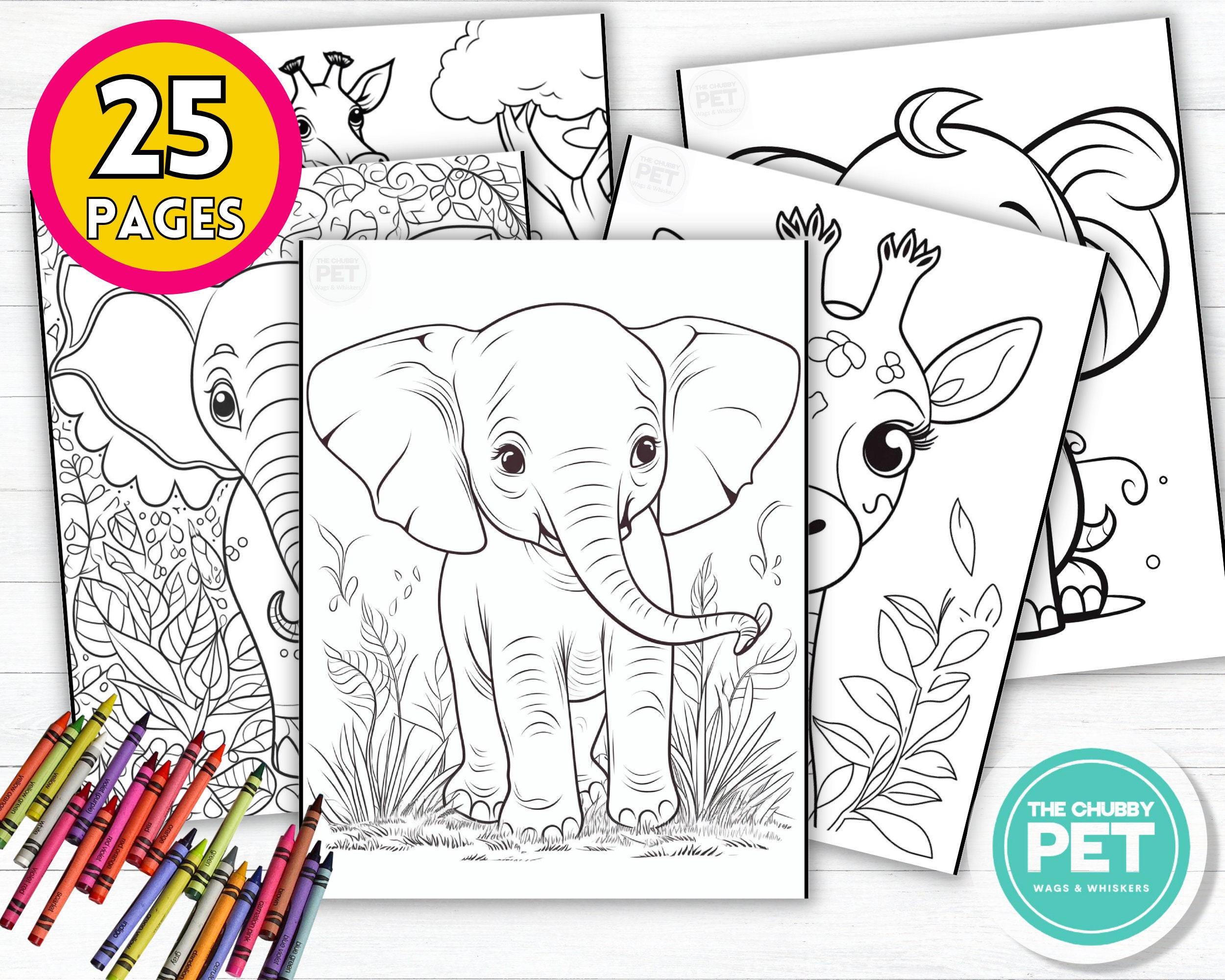 Wild Animals Coloring Book Printable, 25 Page Kids Activity, Instant ...