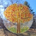 Winter Tree on a 7.5 Round Suncatcher - Etsy