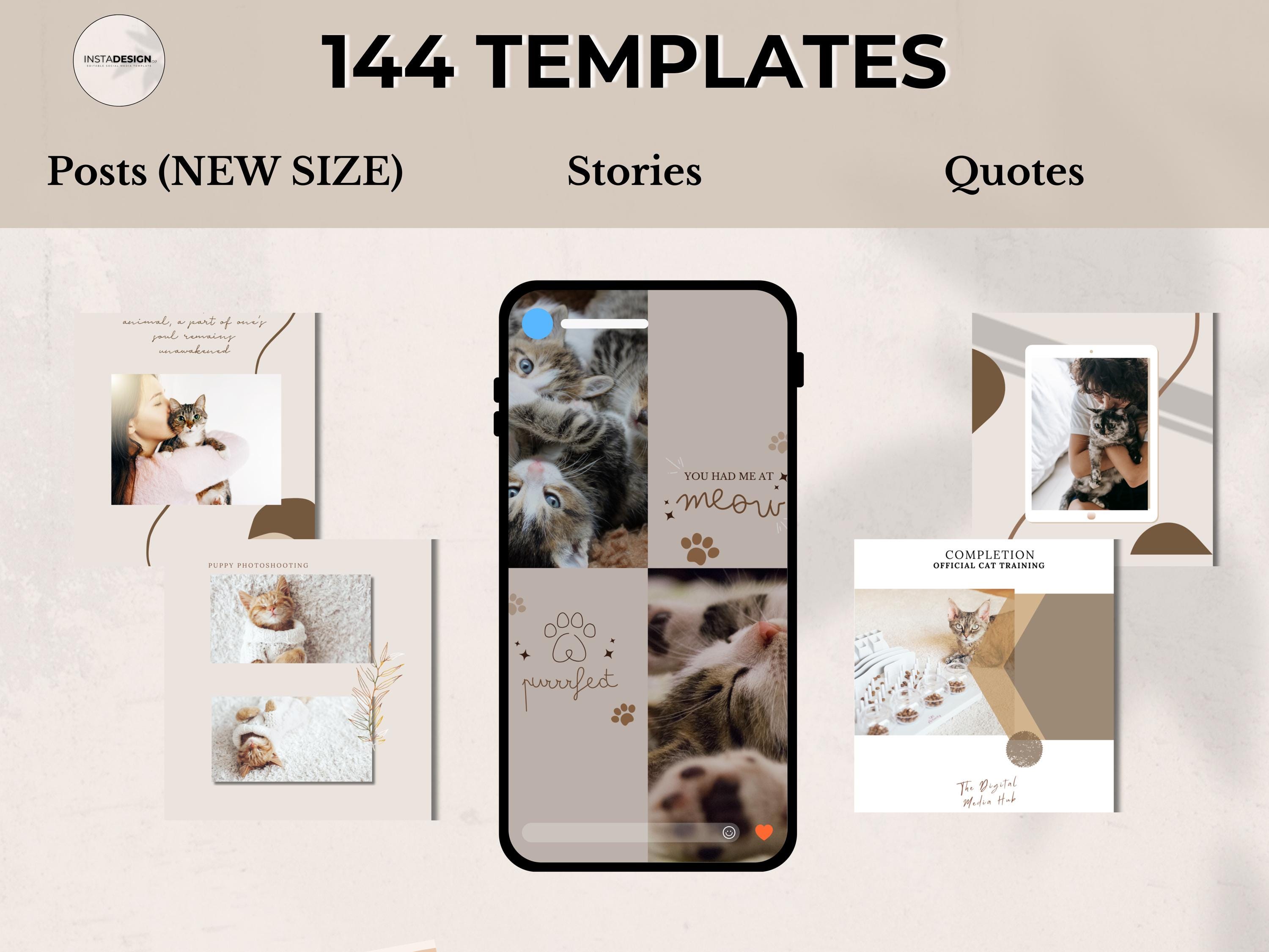 144 Cat Instagram Templates – Cute and Editable Canva Posts,stories ...