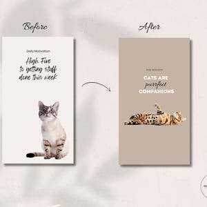144 Cat Instagram Templates – Cute and Editable Canva Posts,stories ...