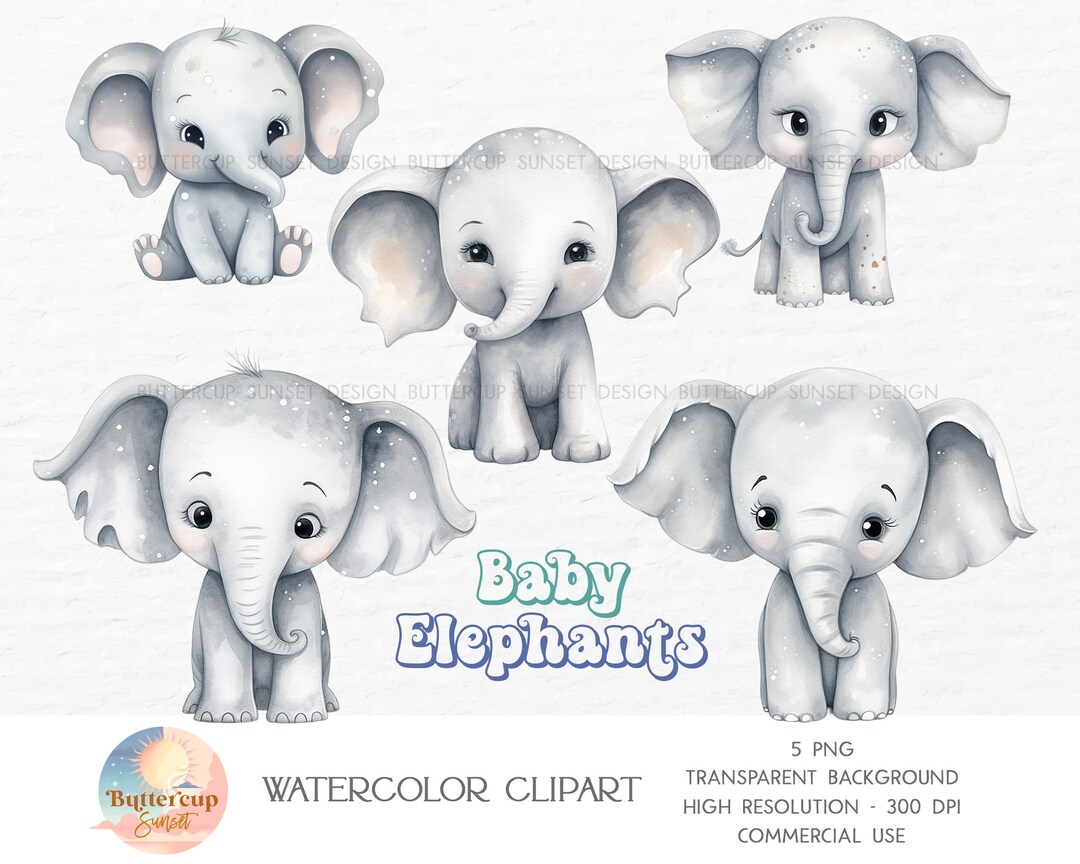5 Baby Elephants Watercolor Clipart PNG Digital Download | Cute ...