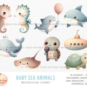 35 Baby Sea Animals Watercolor Clipart PNG Digital Download | Cute ...