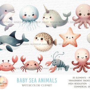 35 Baby Sea Animals Watercolor Clipart PNG Digital Download | Cute ...