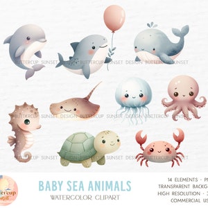 14 Baby Sea Animals Watercolor Clipart PNG Digital Download Cute Ocean ...