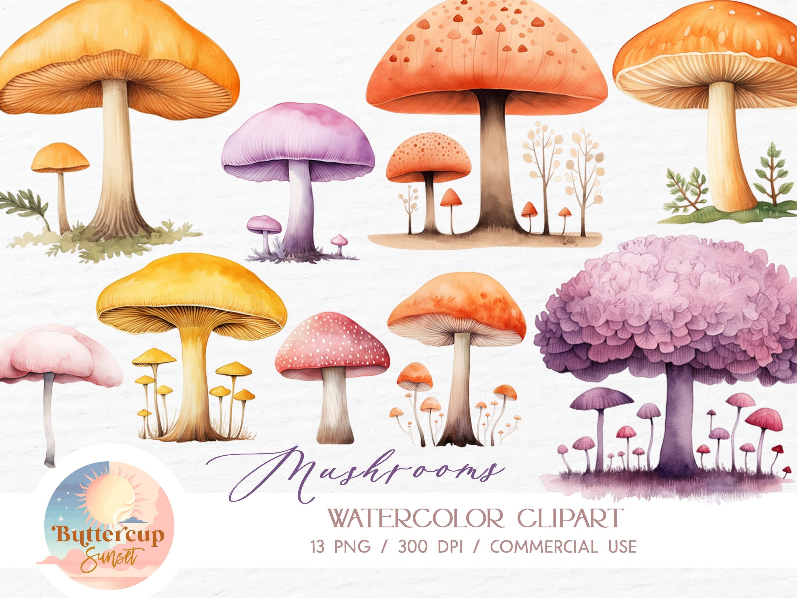 13 Mushrooms Watercolor Clipart PNG Enchanted Forest - Etsy
