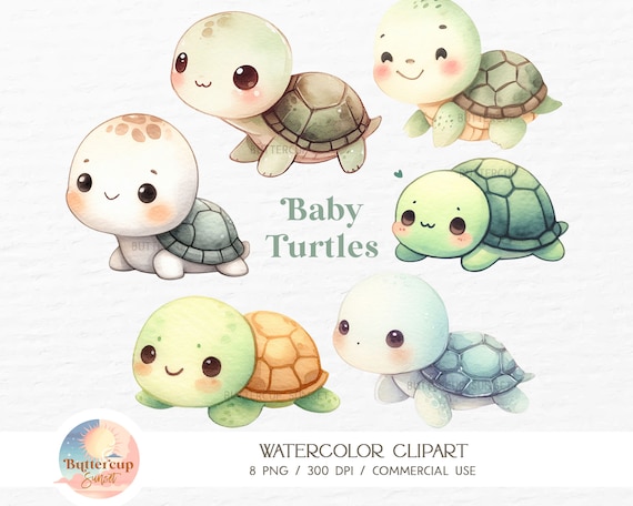 Baby Shower Sea Turtle Cartoon