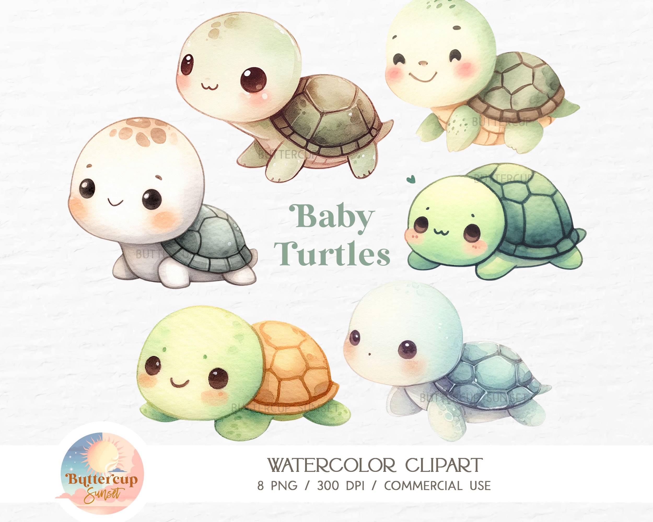 Cute Animated Turtles
