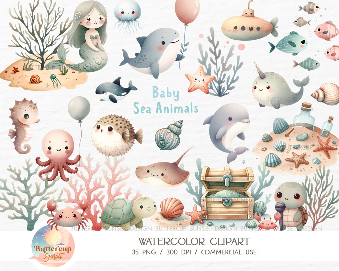 35 Baby Sea Animals Watercolor Clipart PNG Digital Download | Cute ...