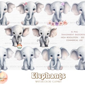 10 Elephants Watercolor Clipart PNG Digital Download | Baby Elephant ...