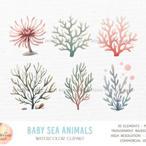 35 Baby Sea Animals Watercolor Clipart PNG Digital Download | Cute ...