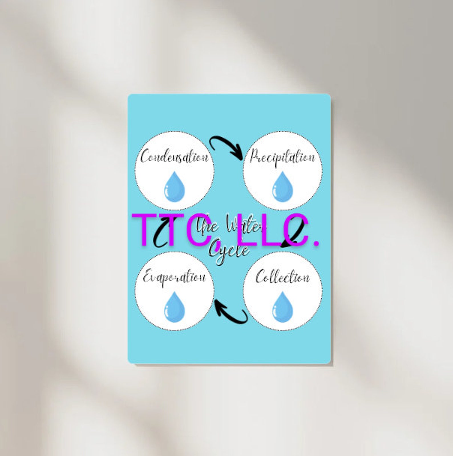 The Water Cycle Classroom Poster - Etsy