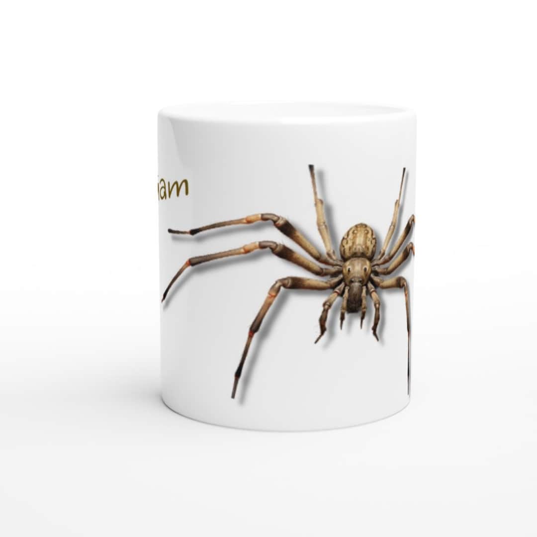 Personalized Huntsman Spider Mug Porcelain Enamel Coffee Tea Latte Mug ...