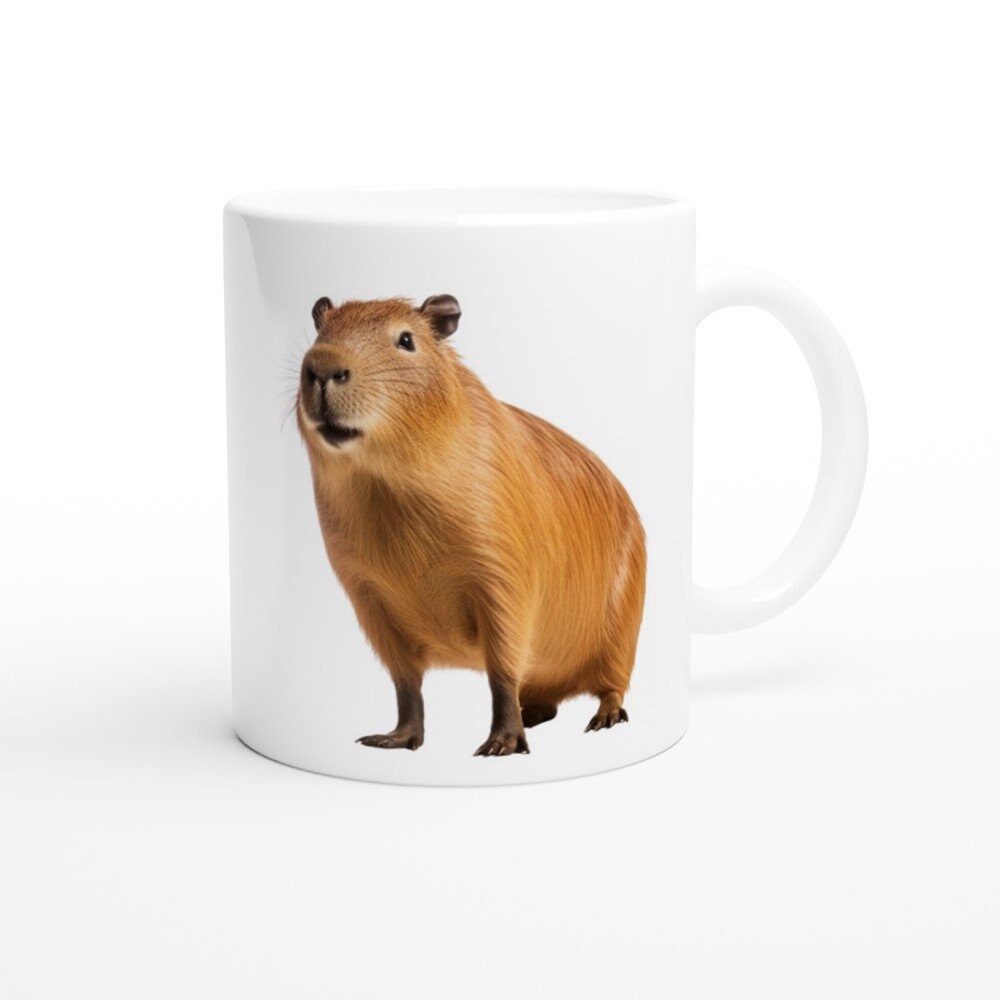 Personalized Capybara Mug Porcelain Enamel Coffee Tea Latte Mug Cup for ...