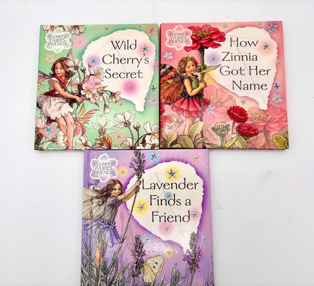 Flower Fairies Friends Book Set, 2003 Collector's Edition - Etsy