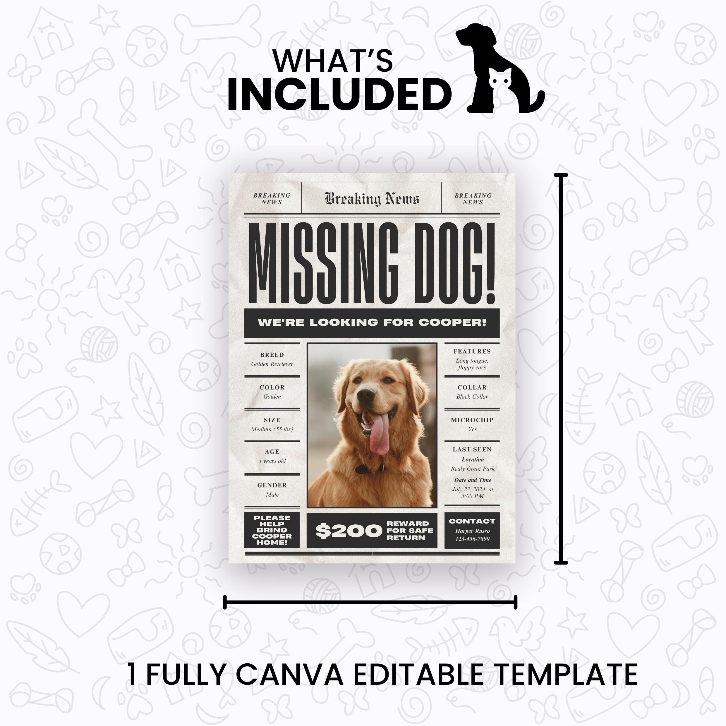 Lost Dog Poster / Digital Poster / Printable / Instant Download ...